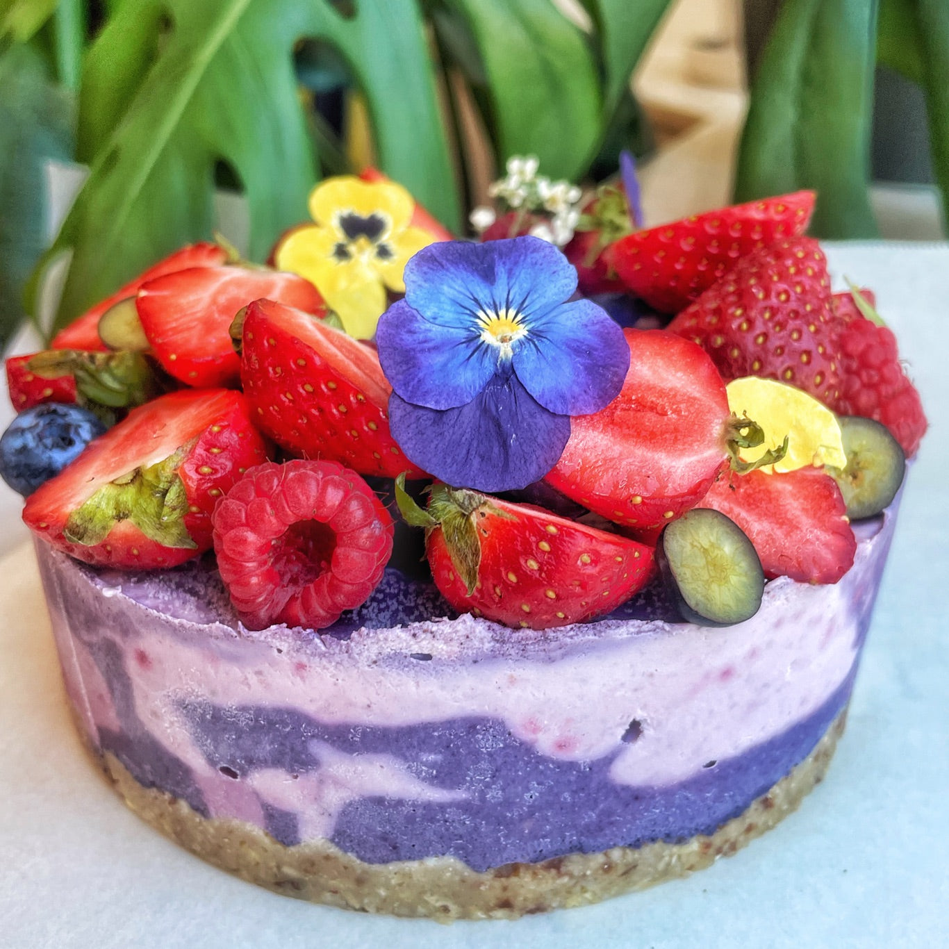 Cake for Raw | Vegan | Gluten Free | Dairy Free I KETO & Diabetes Hong ...